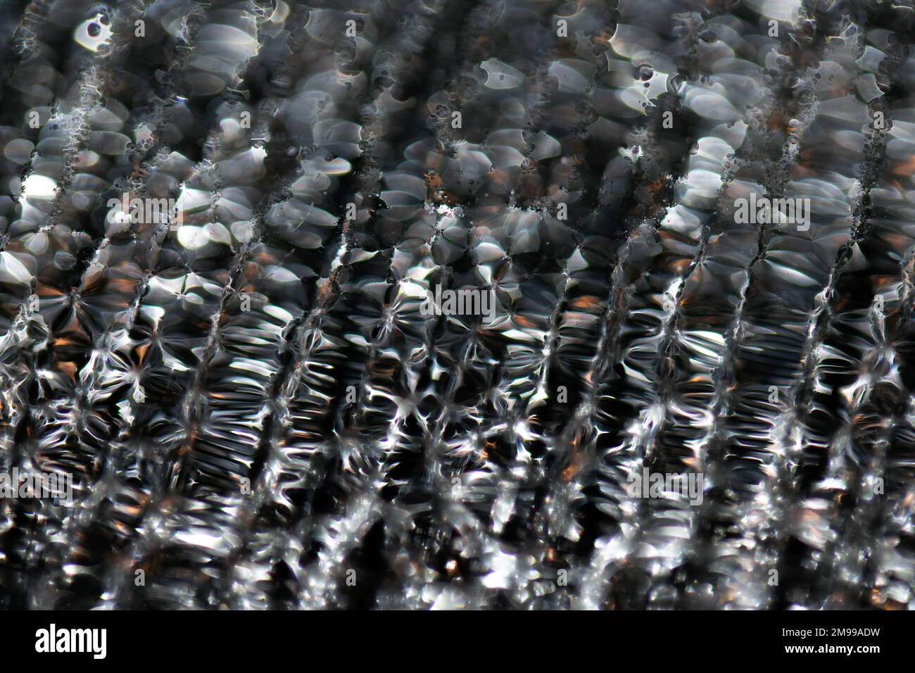 a Geometric Shiny Metal Sparkly Geometric Background Stock Photo - Alamy