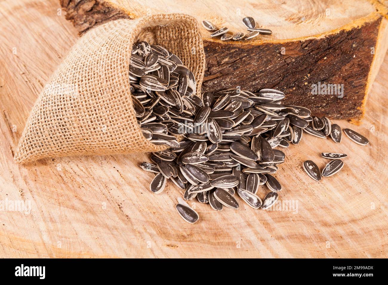 Sunflower Seeds - Helianthus Annuus Stock Photo - Alamy