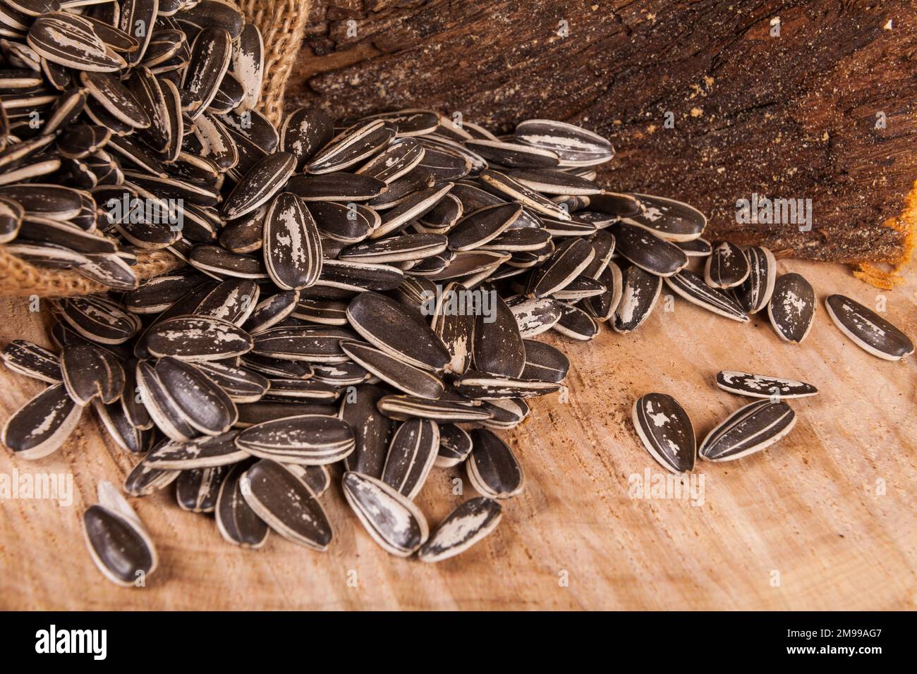 Sunflower Seeds - Helianthus Annuus Stock Photo - Alamy