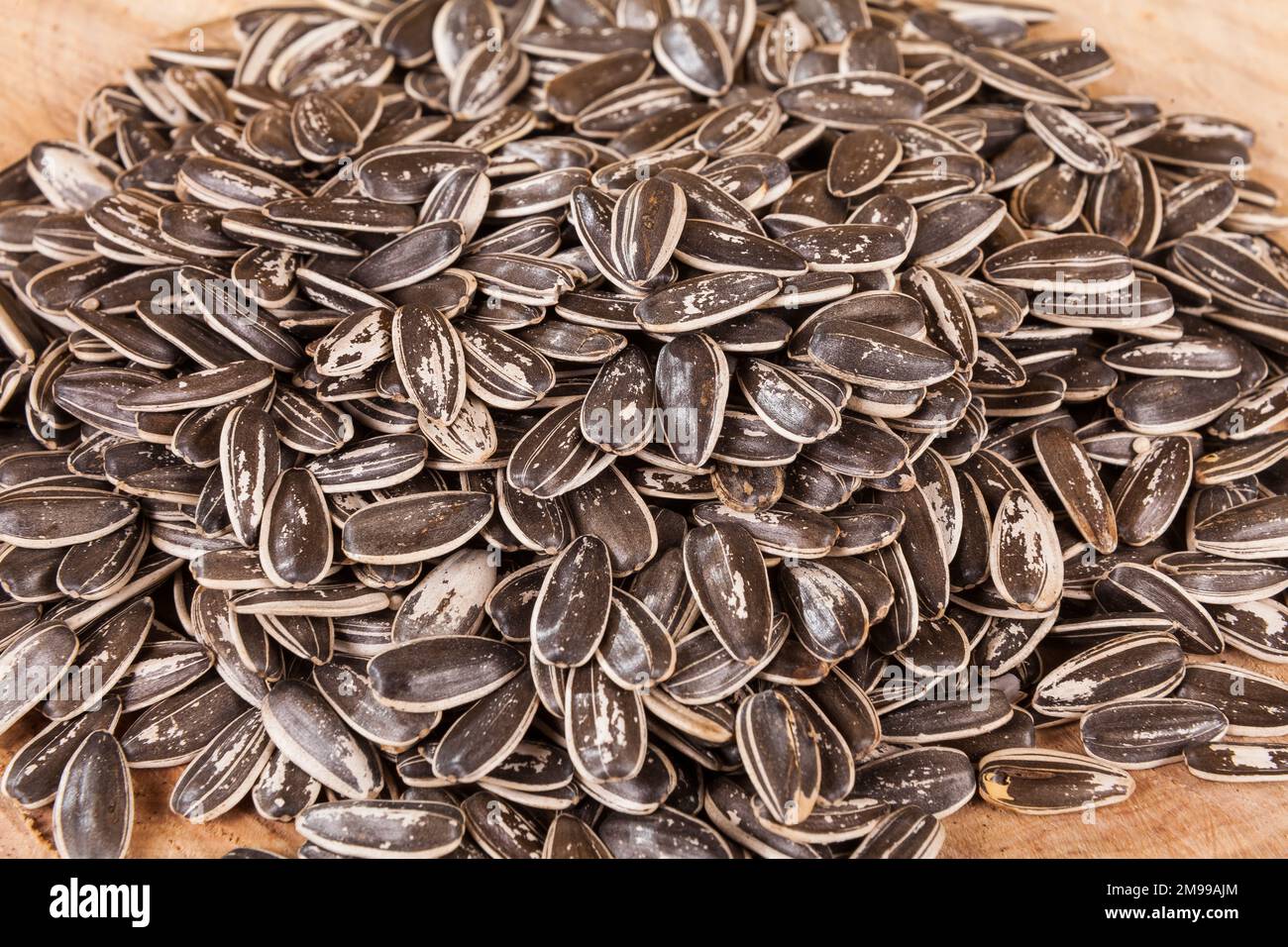 Sunflower Seeds - Helianthus Annuus Stock Photo - Alamy