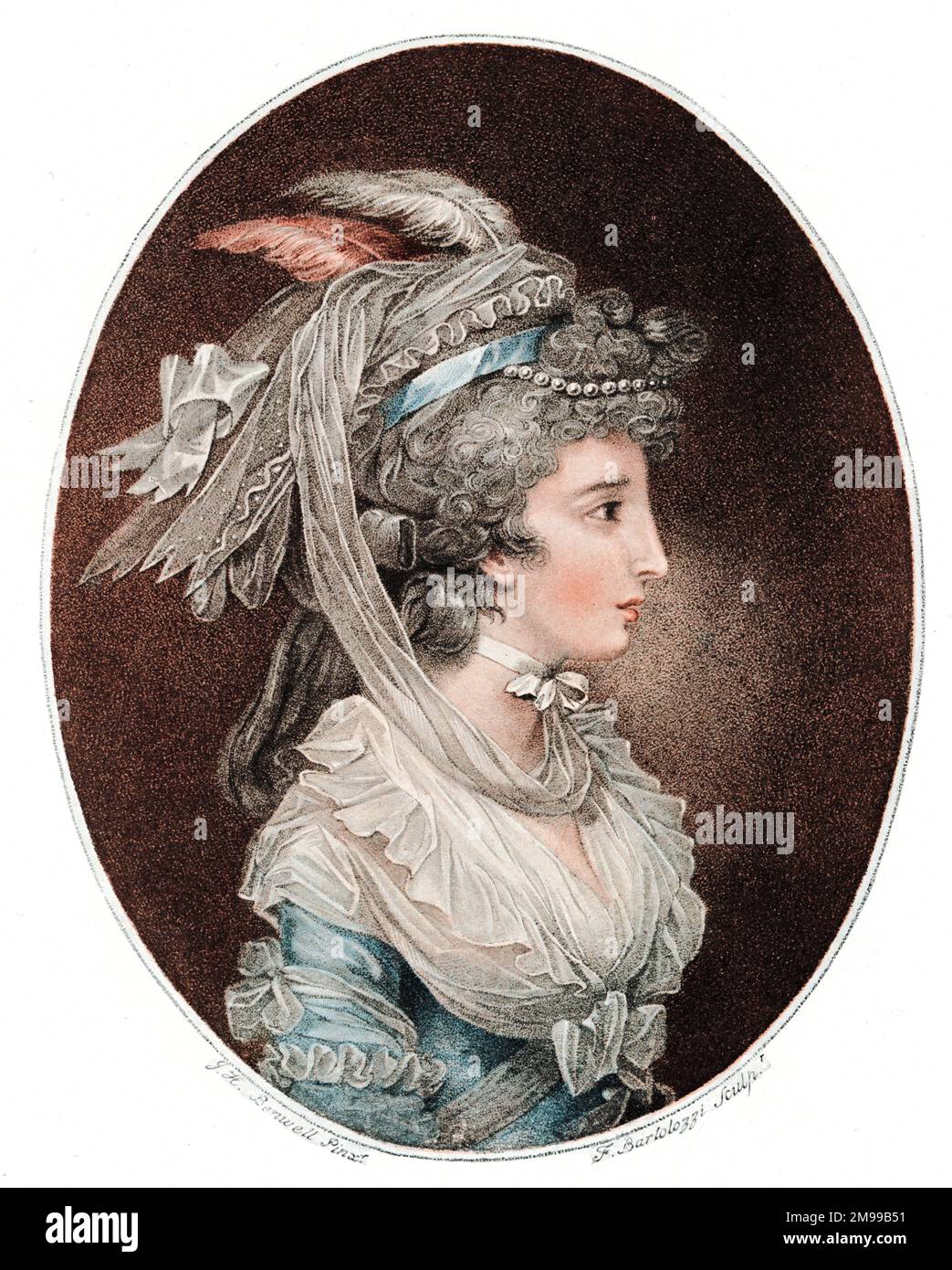 Beauty of feathers Cut Out Stock Images & Pictures - Alamy