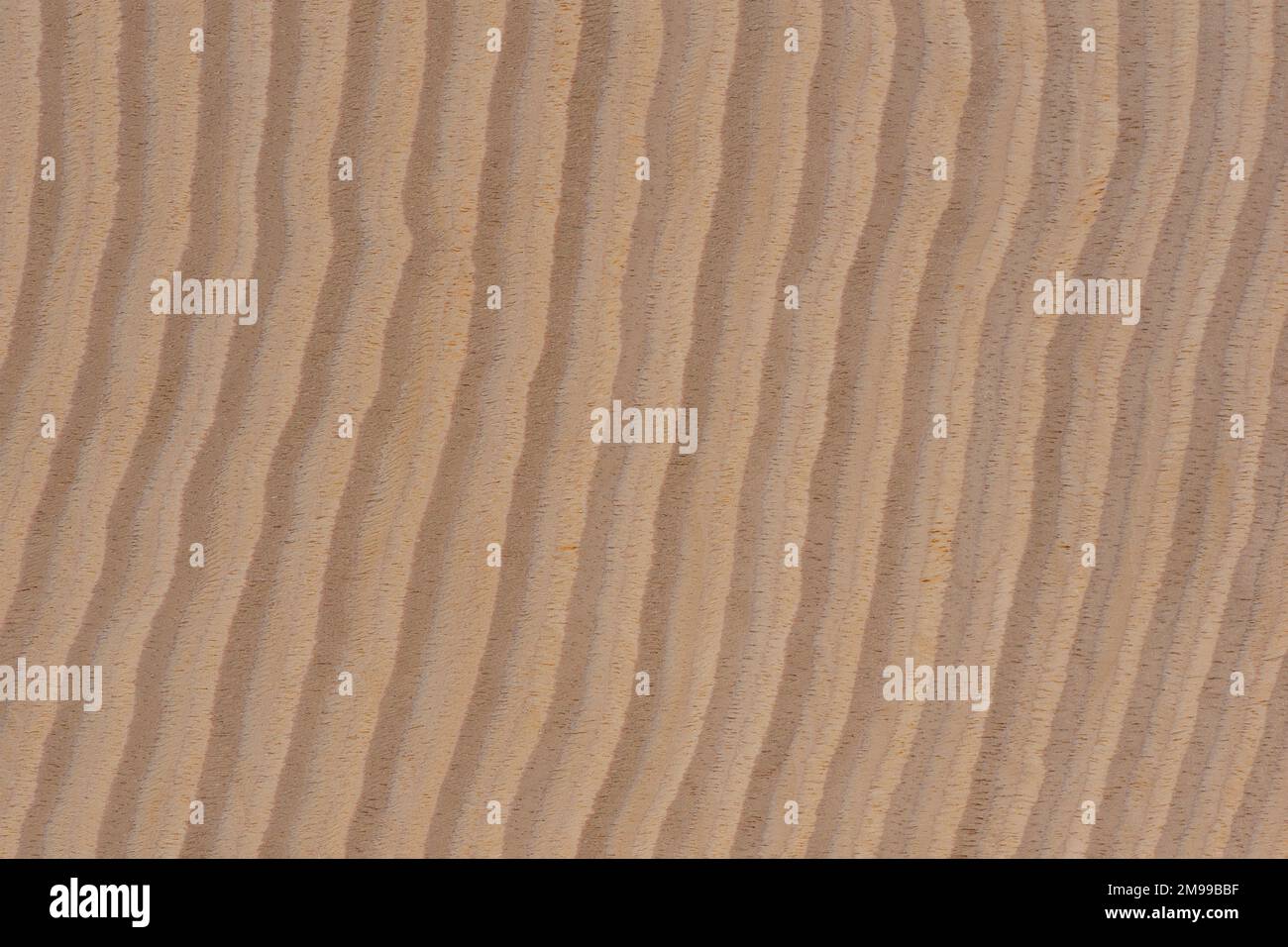 Texture of wood with stripes. Texture of natural African wood with ...