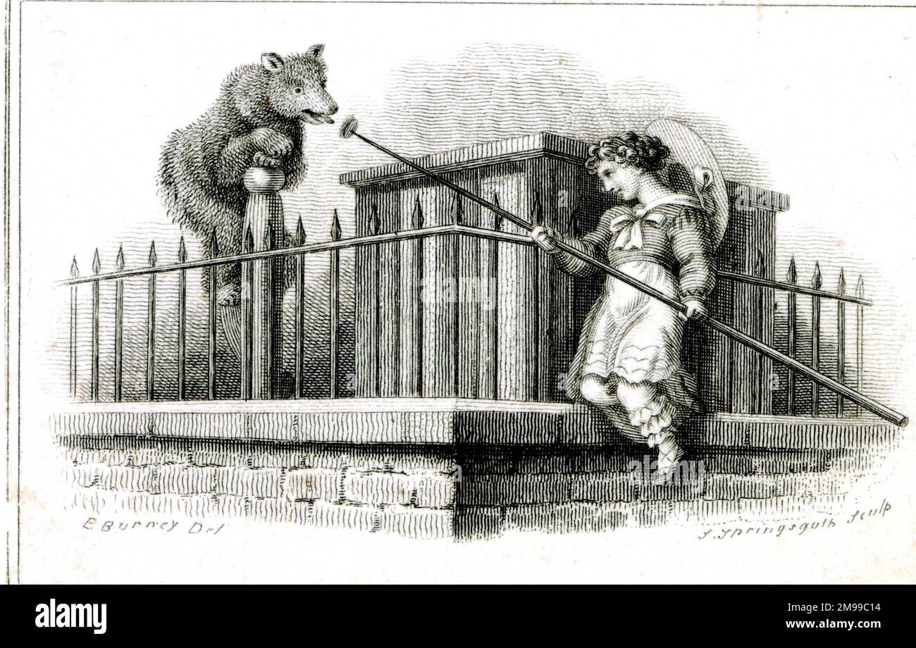 Feeding the Brown Bear at the Zoo Stock Photo - Alamy