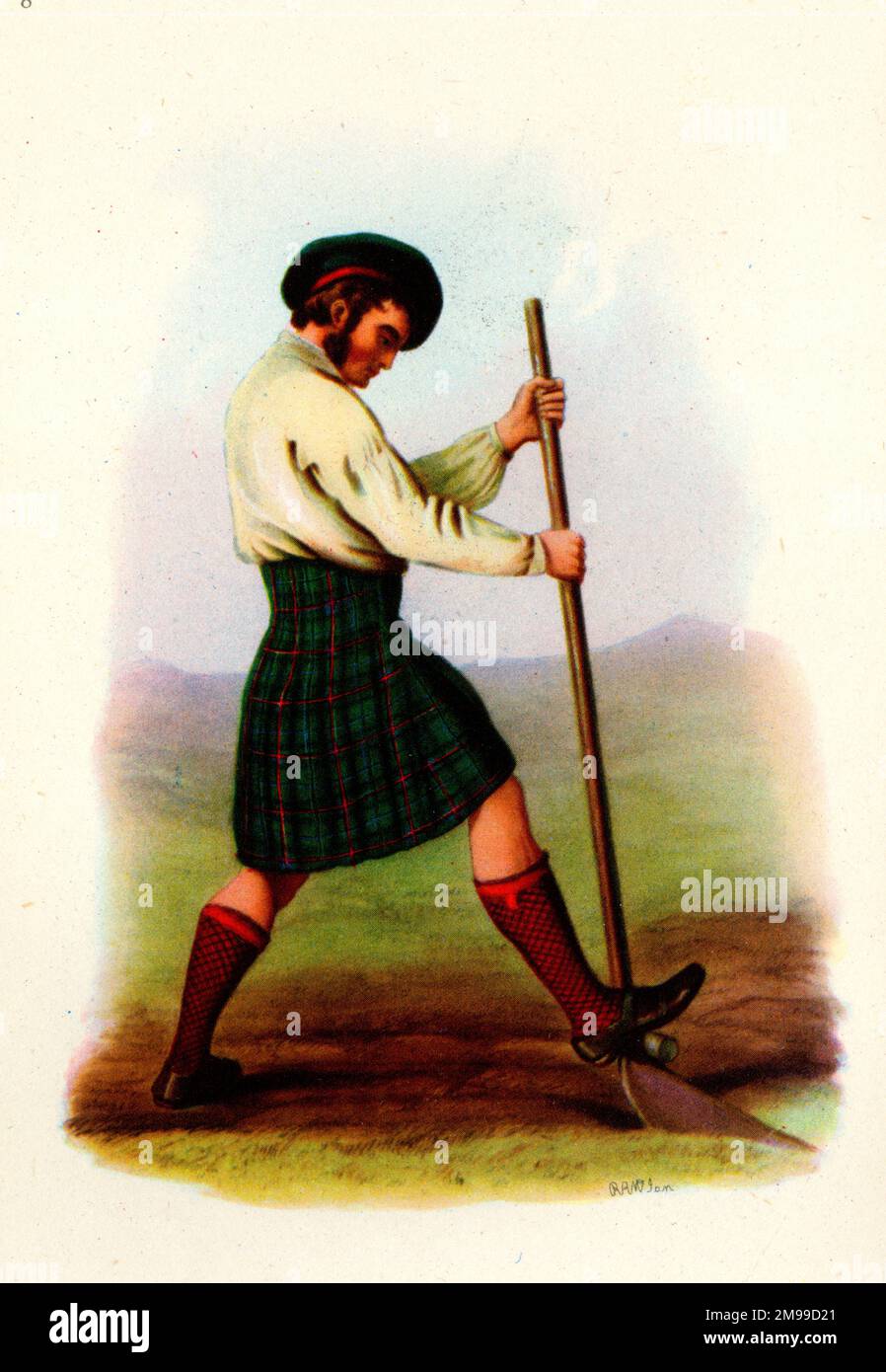 The white rose of scotland hi-res stock photography and images - Alamy