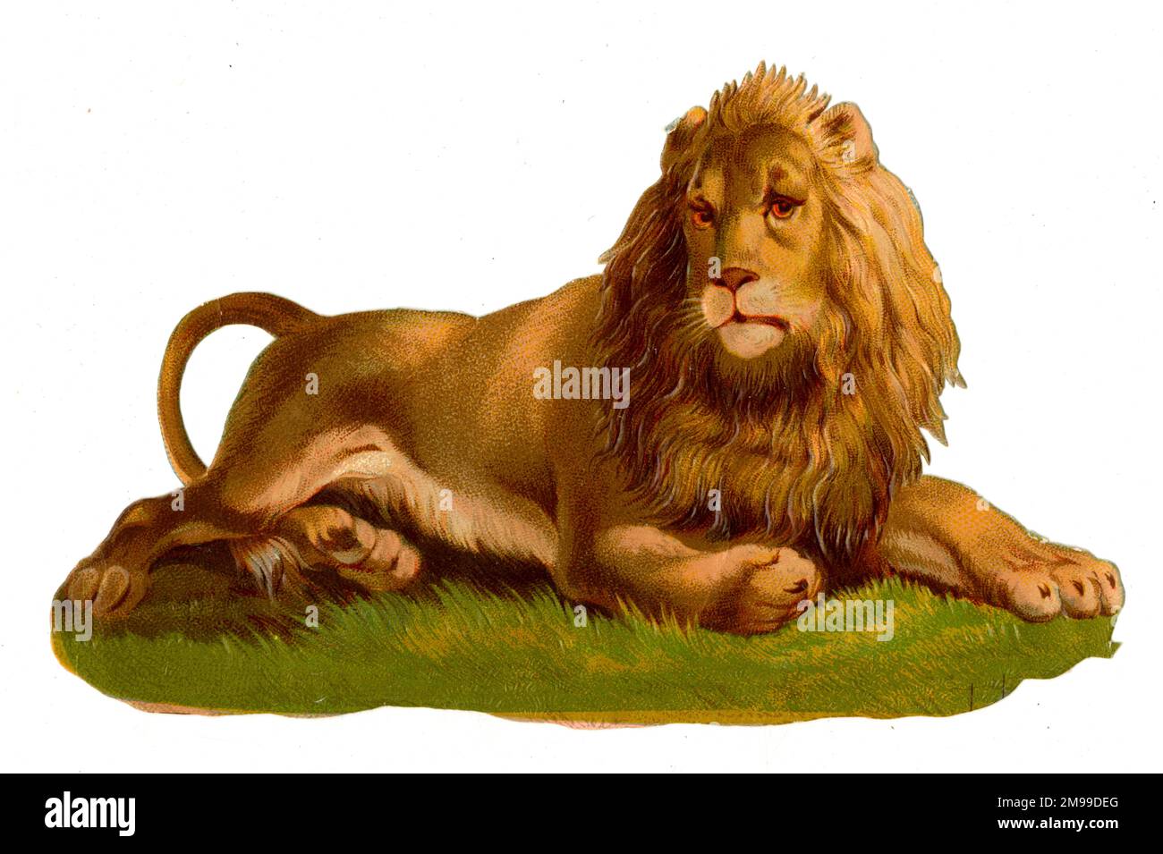 Victorian scrap, resting lion Stock Photo - Alamy