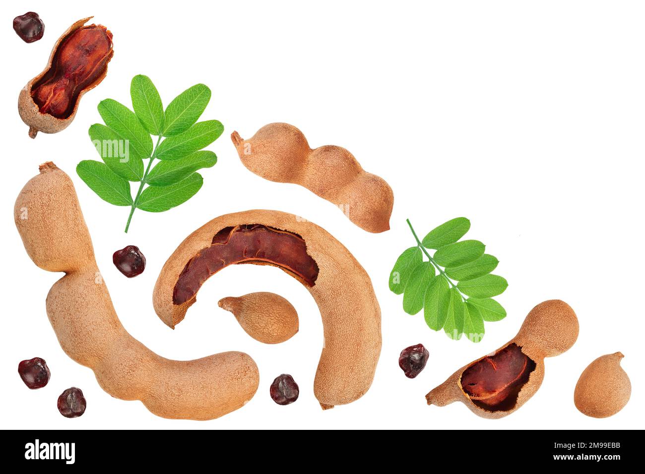 Tamarind fruit with seed isolated on white background with copy space ...