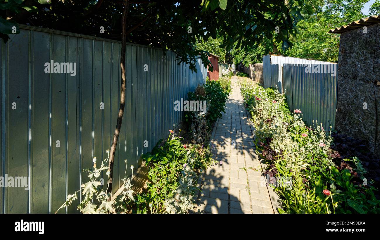 The village of Mila 23 in the Danube Delta Romania Stock Photo - Alamy