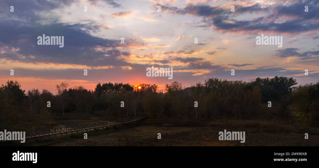 The end of golden hour before sunset over the forest Stock Photo - Alamy
