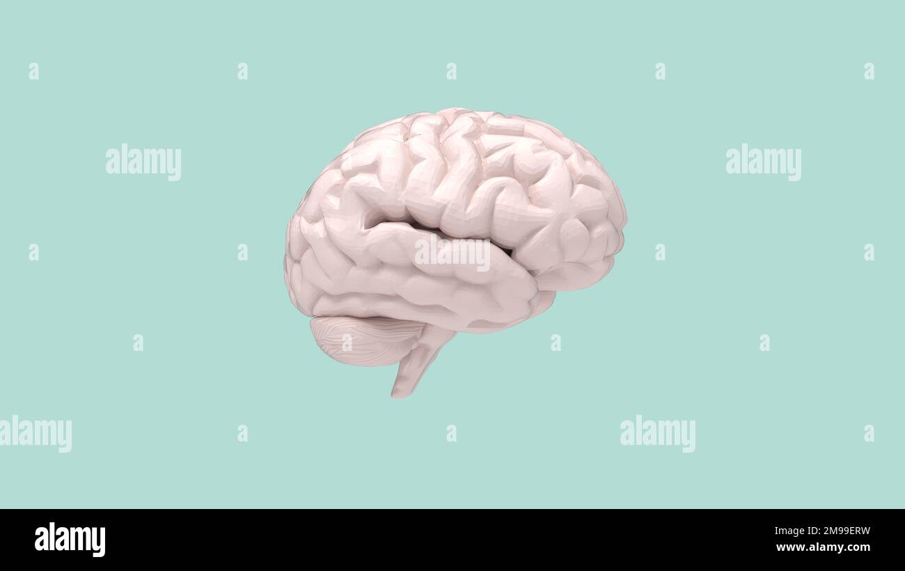 3D rendering of a brain, symbol for learning,thinking, idea,sollution ...