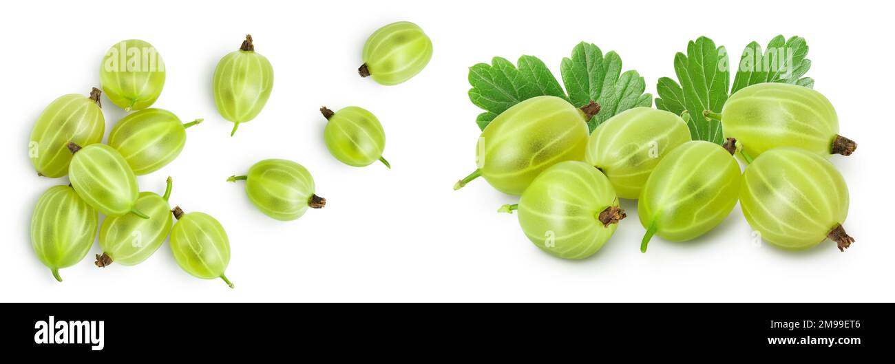 Green gooseberry isolated on white background with full depth of field ...