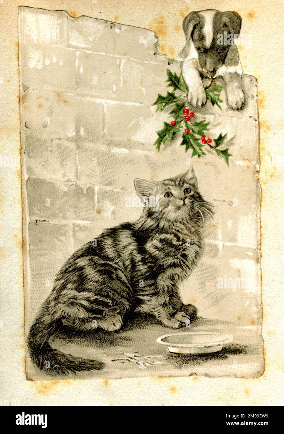 Christmas cat holly hi-res stock photography and images - Alamy