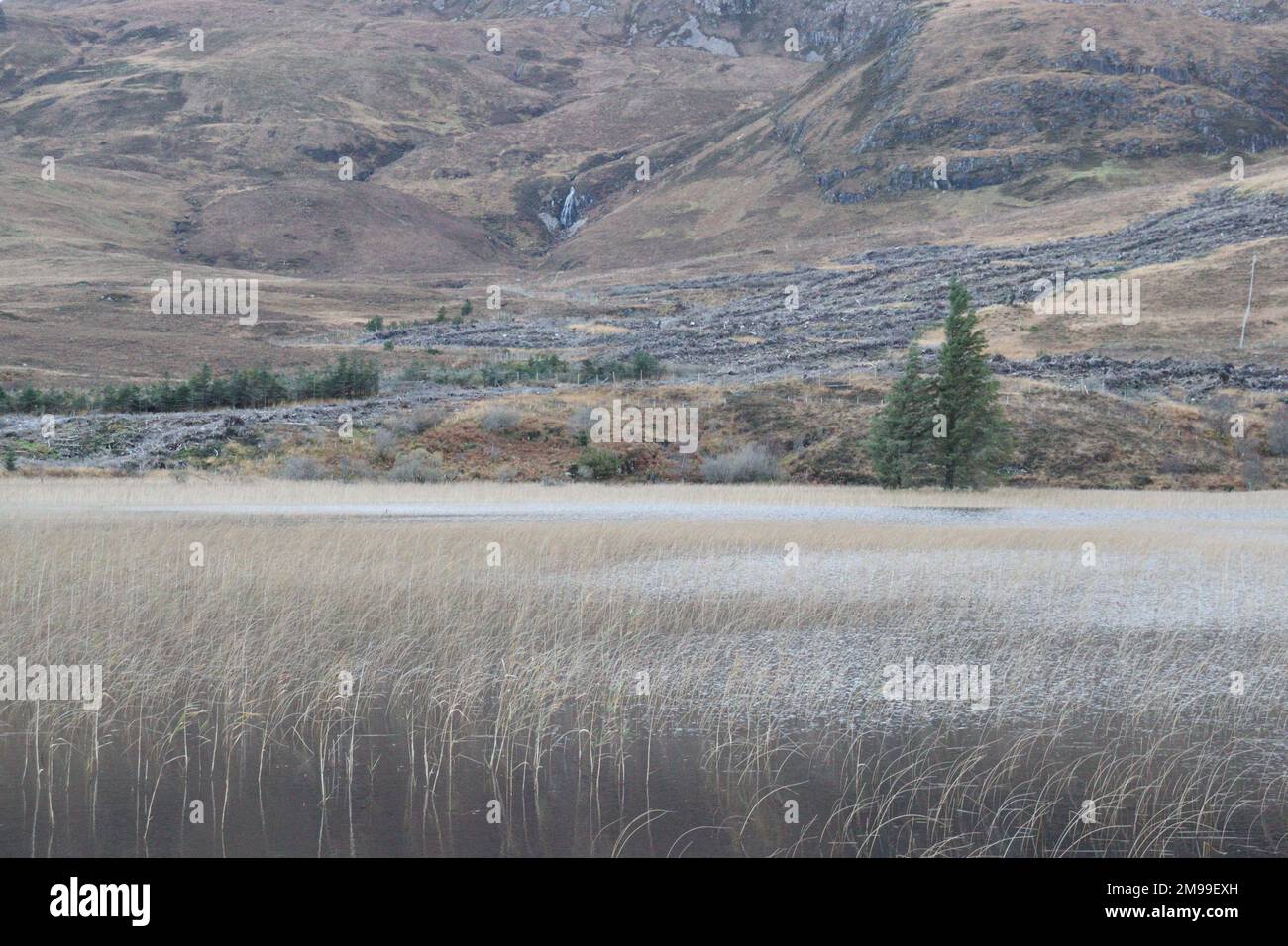 The hairy loch hi-res stock photography and images - Alamy