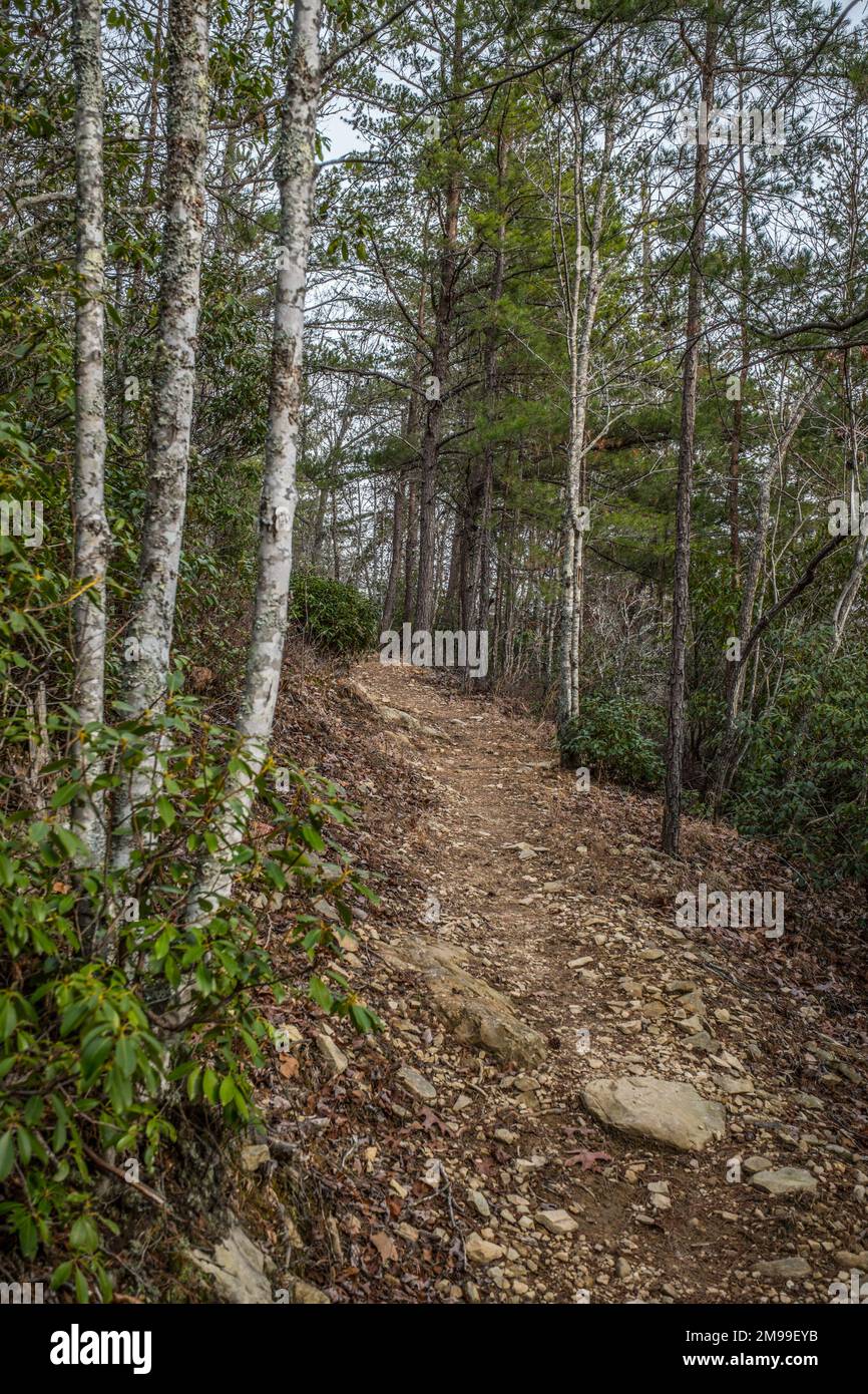 Hiking along a edge of a rocky trail in the mountains surrounded by a ...