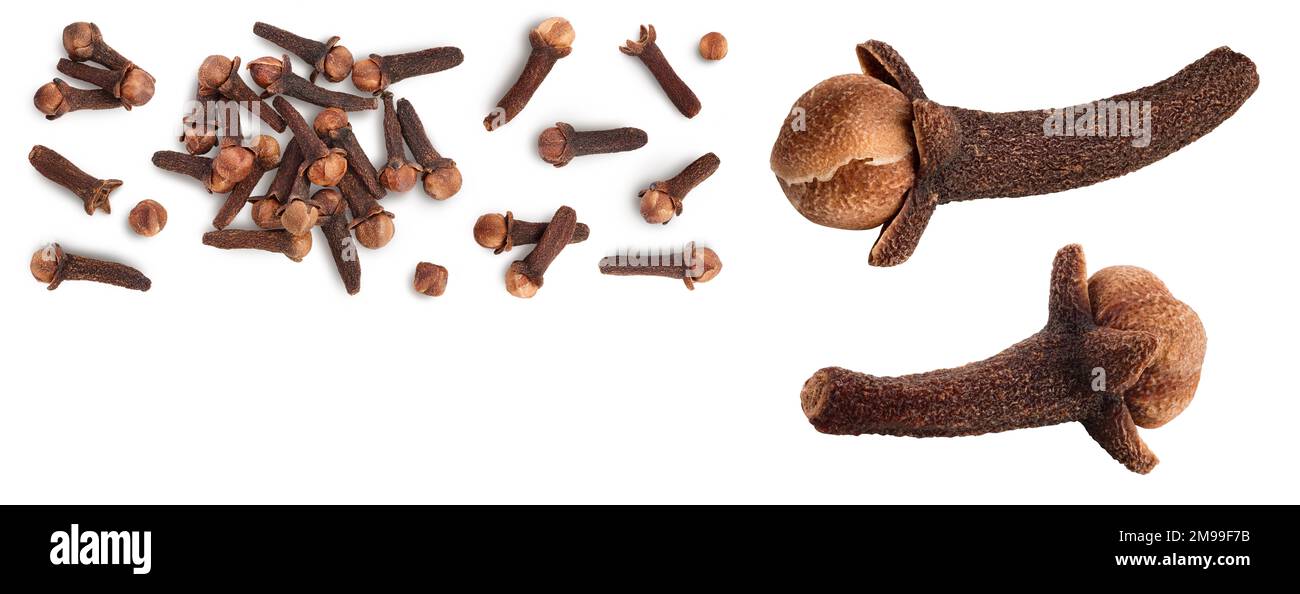 Dry spice cloves isolated on white background. Top view. Flat lay Stock ...