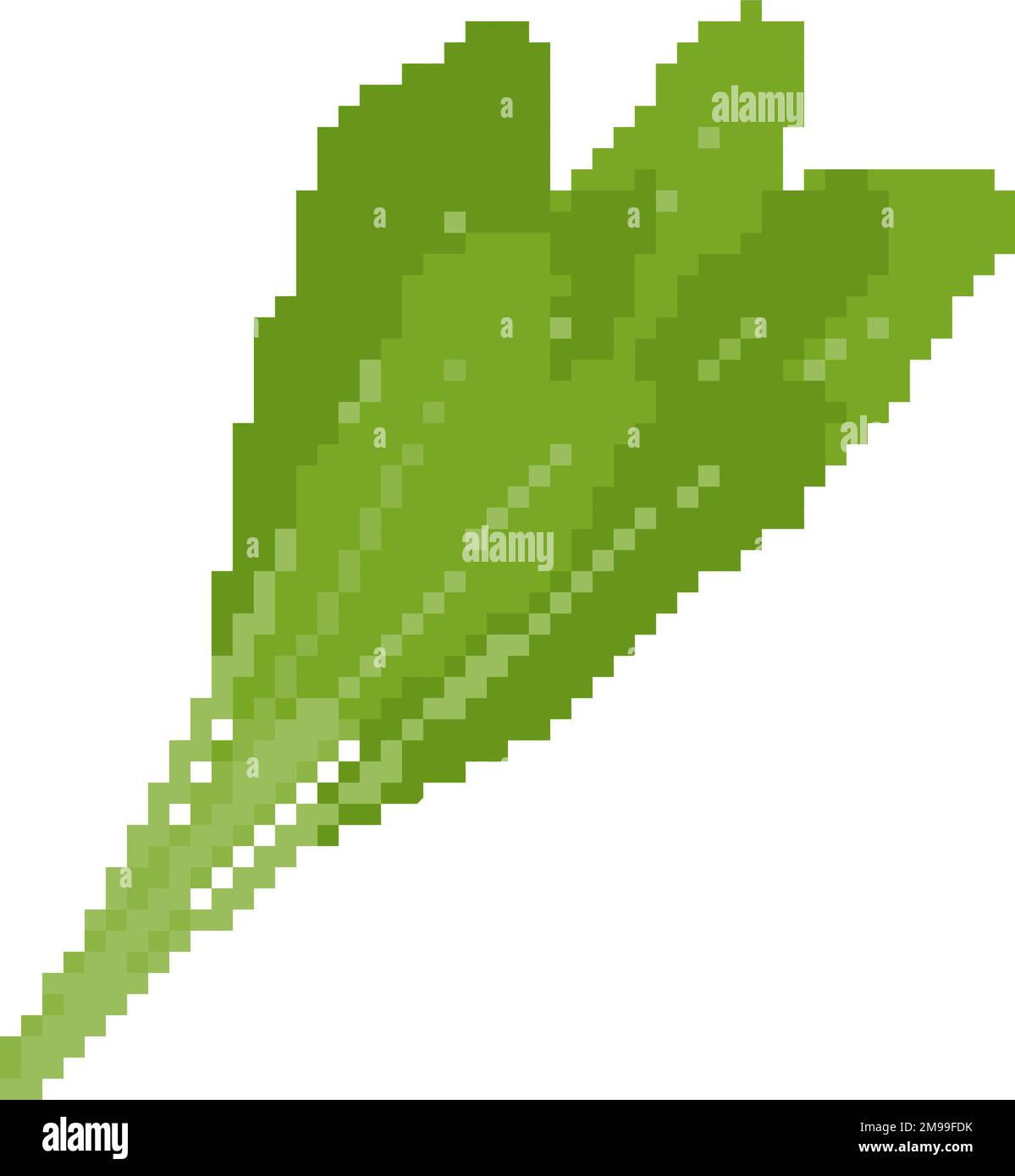 spinach.Vector illustration that is easy to edit Stock Vector Image ...