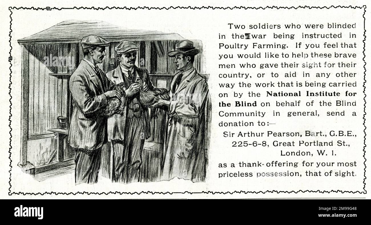 Blinded soldiers working on a poultry farm, post-First World War ...