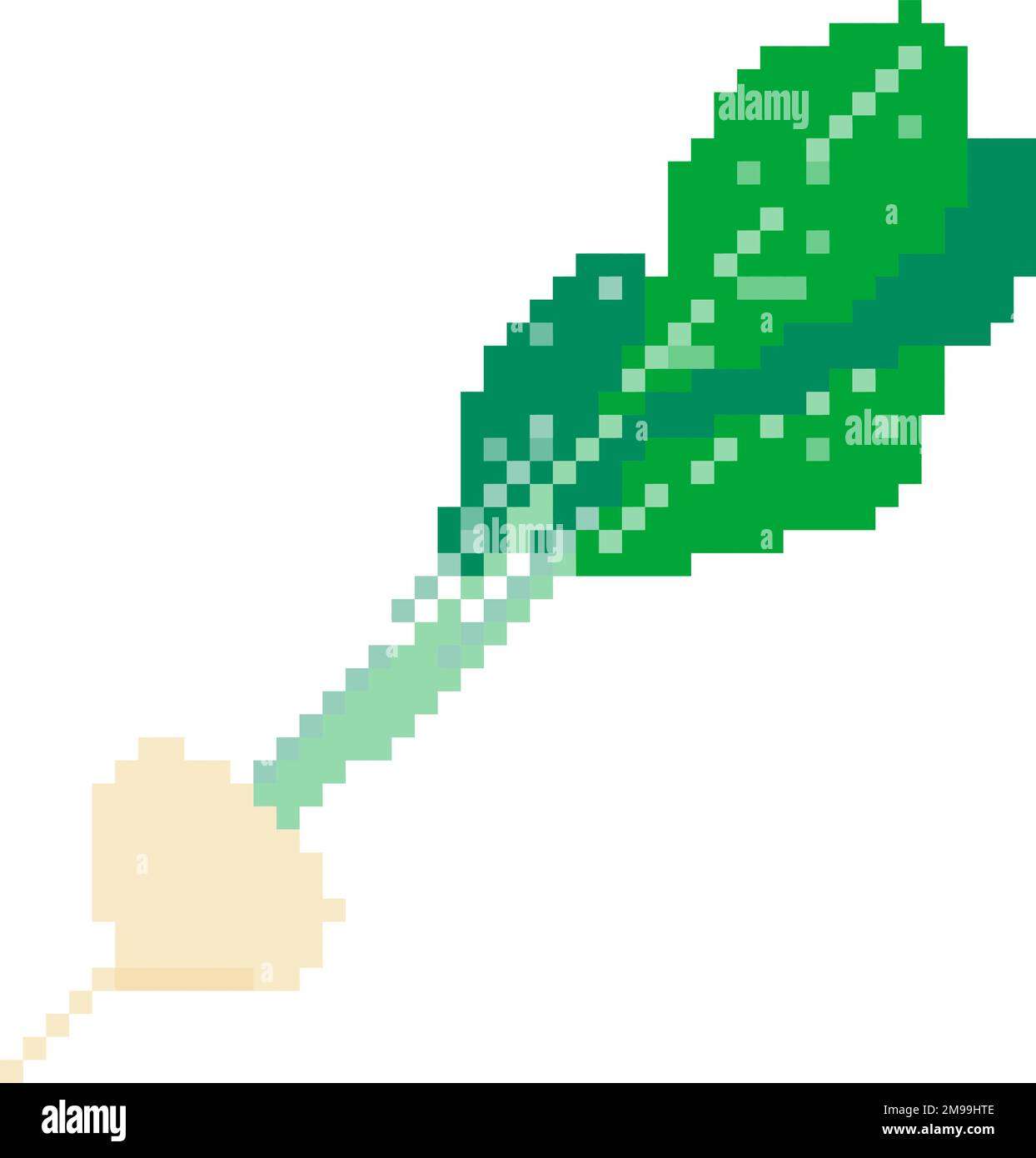 Turnip.Vector illustration that is easy to edit Stock Vector Image ...