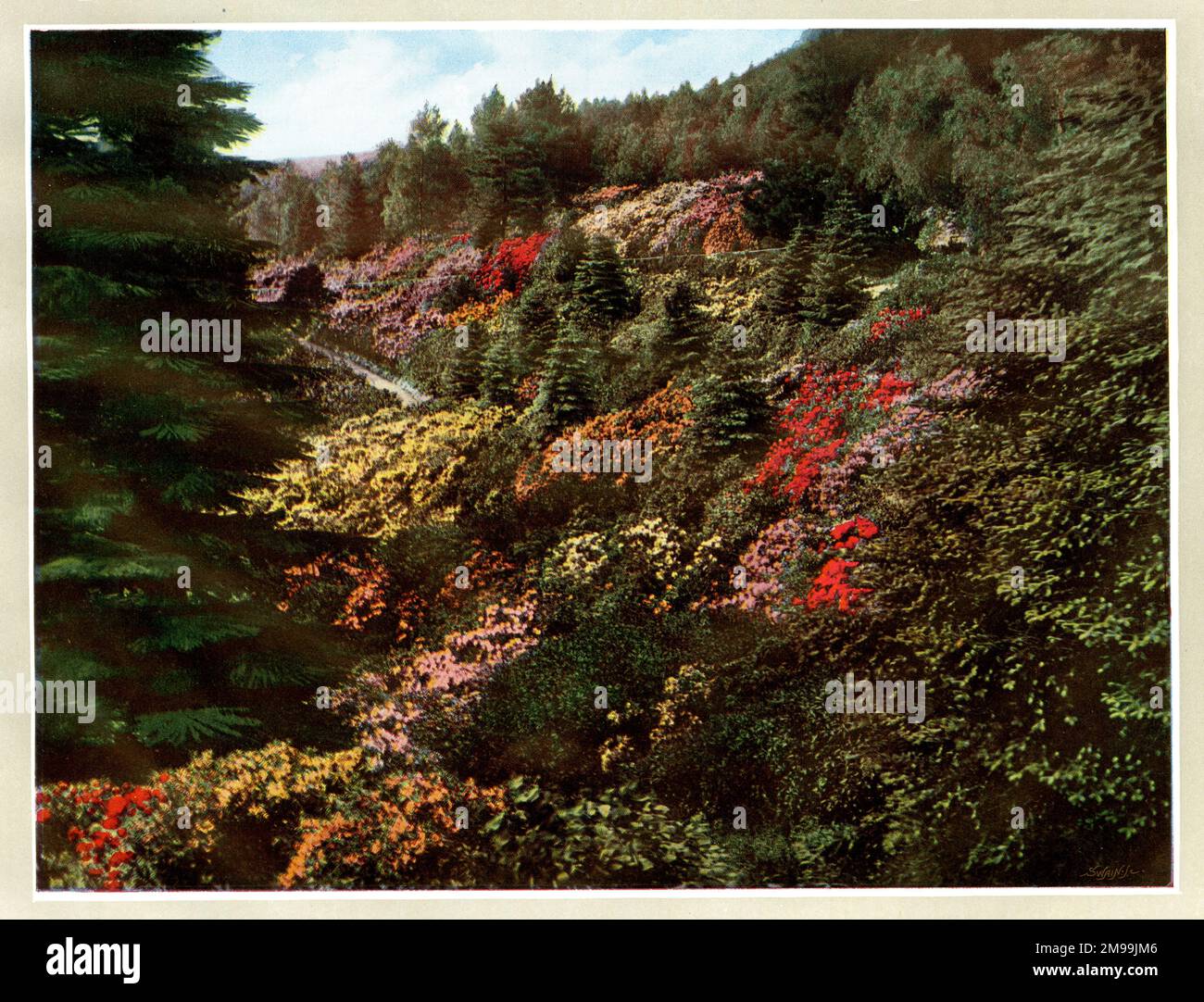 Cragside House, near Rothbury, Northumberland - View from the House ...