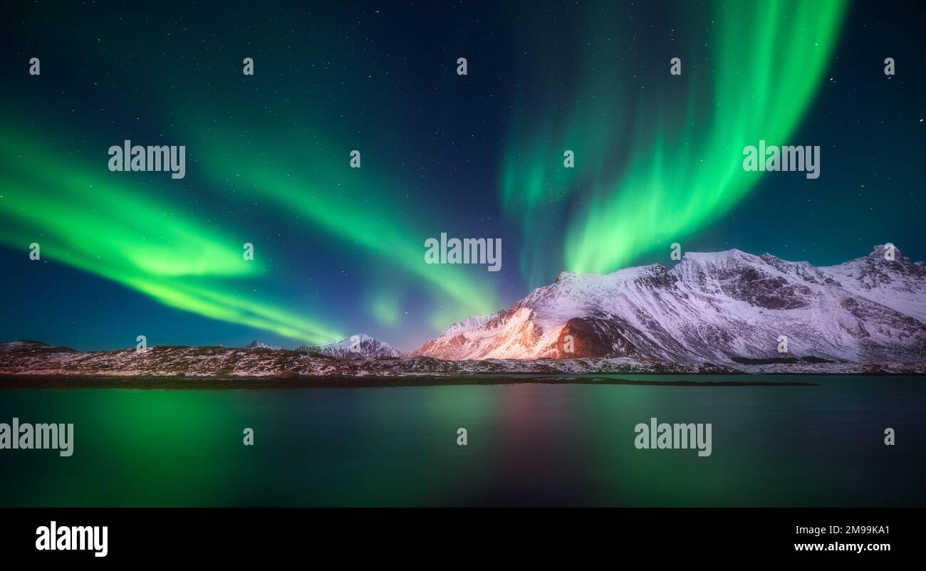 Aurora borealis above beach in Lofoten islands, Norway Stock Photo - Alamy