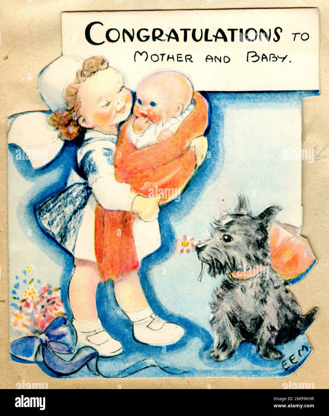 Congratulations Funny Dog