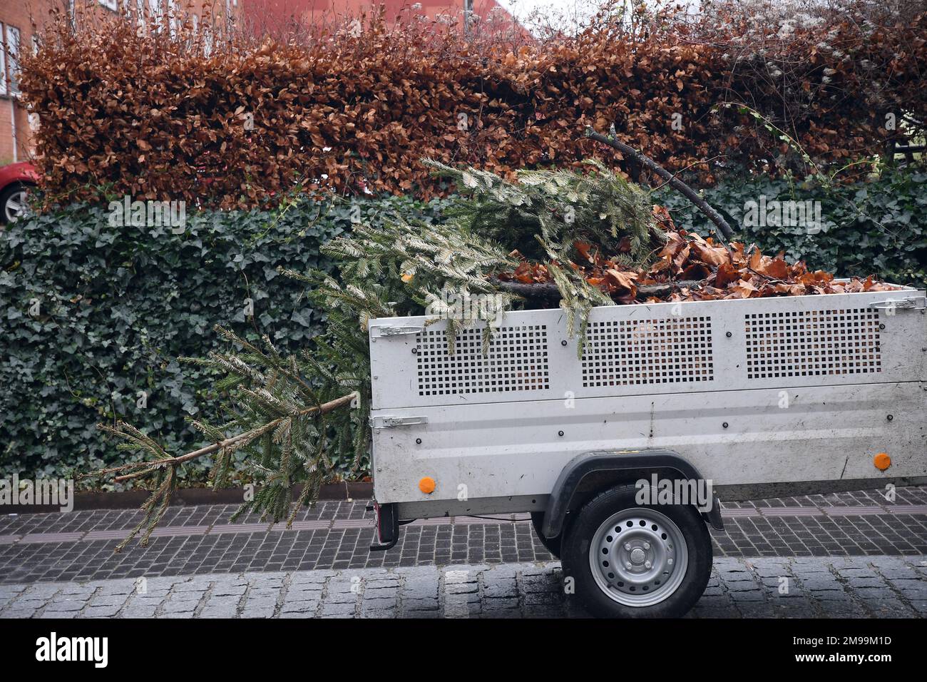 Kastrup/Copenhagen /Denmmark/17 January 2023/Landlord still collectts ...