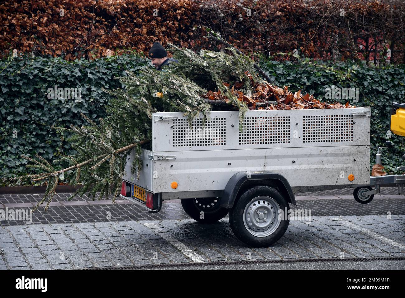 Kastrup/Copenhagen /Denmmark/17 January 2023/Landlord still collectts ...