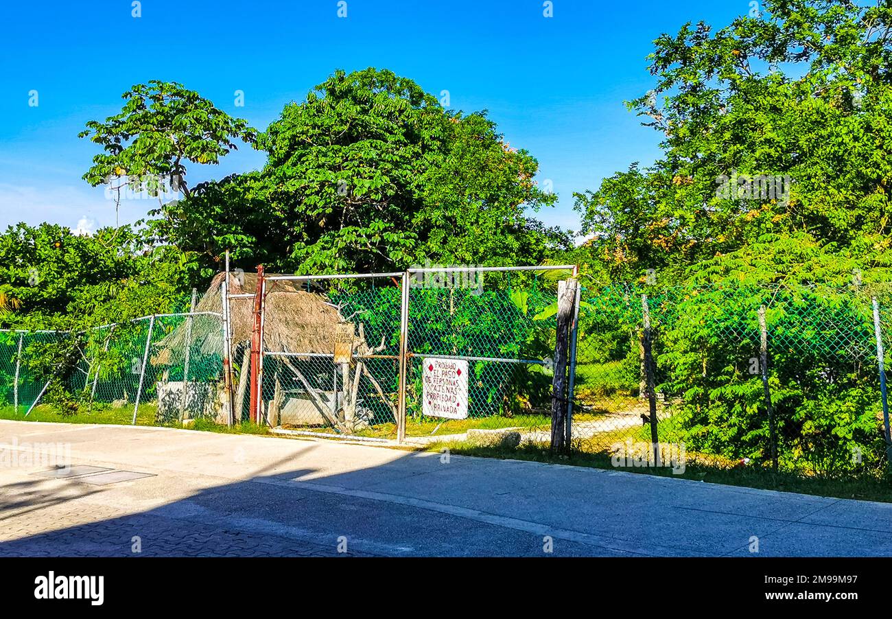 Entrance and path of tropical mexican beach 88 between natural huts in ...