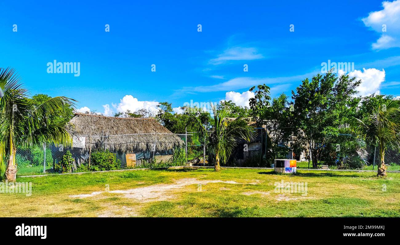 Entrance and path of tropical mexican beach 88 between natural huts in ...