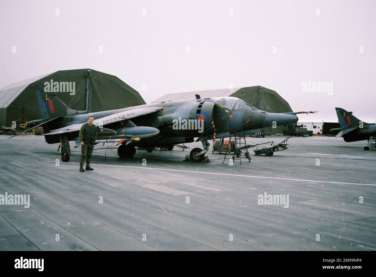 Me standing next to British Aerospace Harrier GR.3 (Phase 6) 'L' on the ...