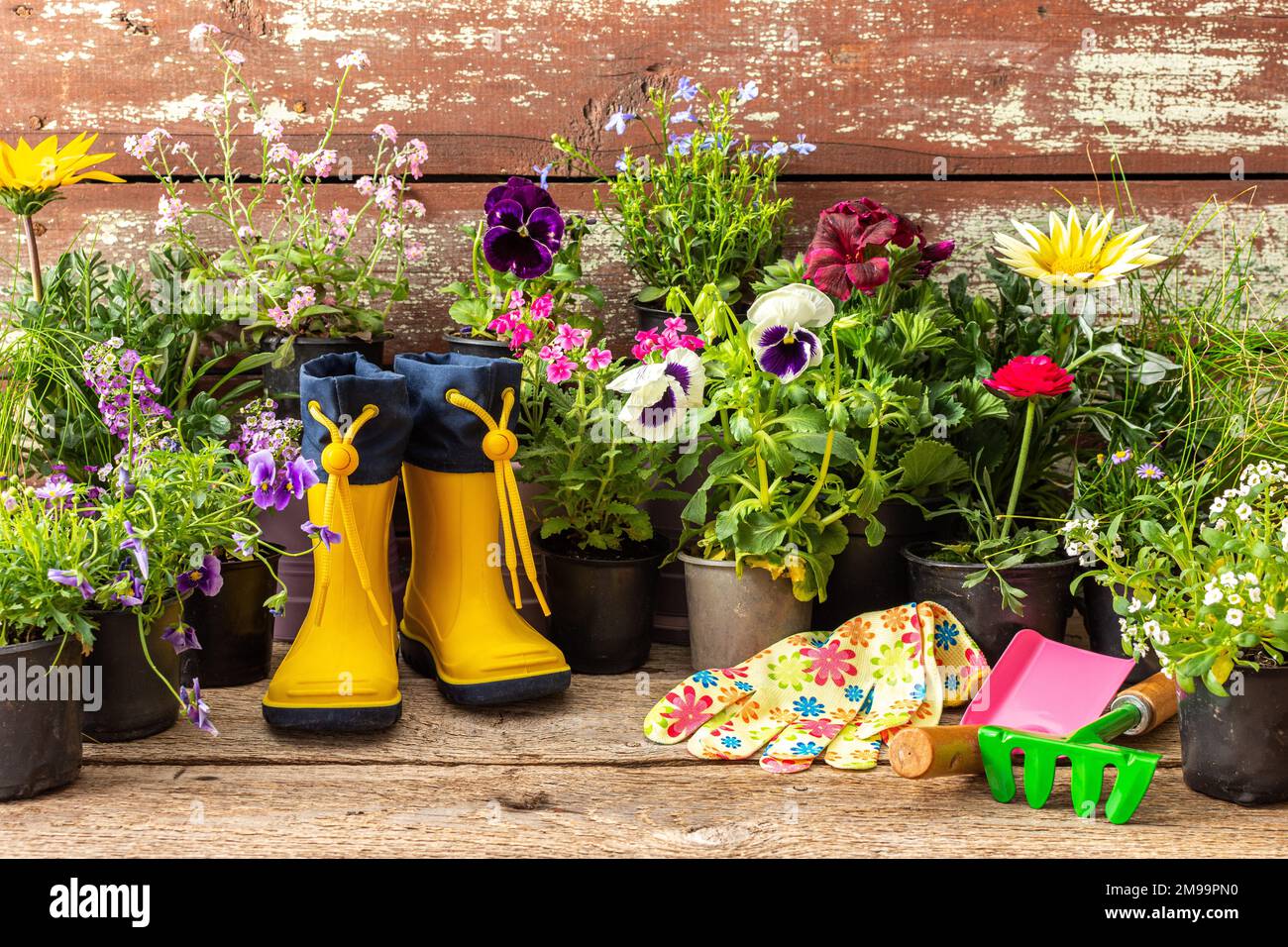 Spring work in the garden and at home, planting decorative flowers ...