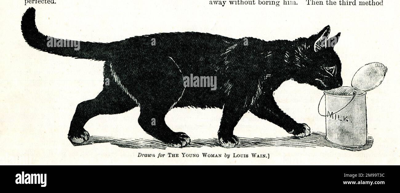 Cat and pail of milk, Mr Louis Wain at Home Stock Photo - Alamy