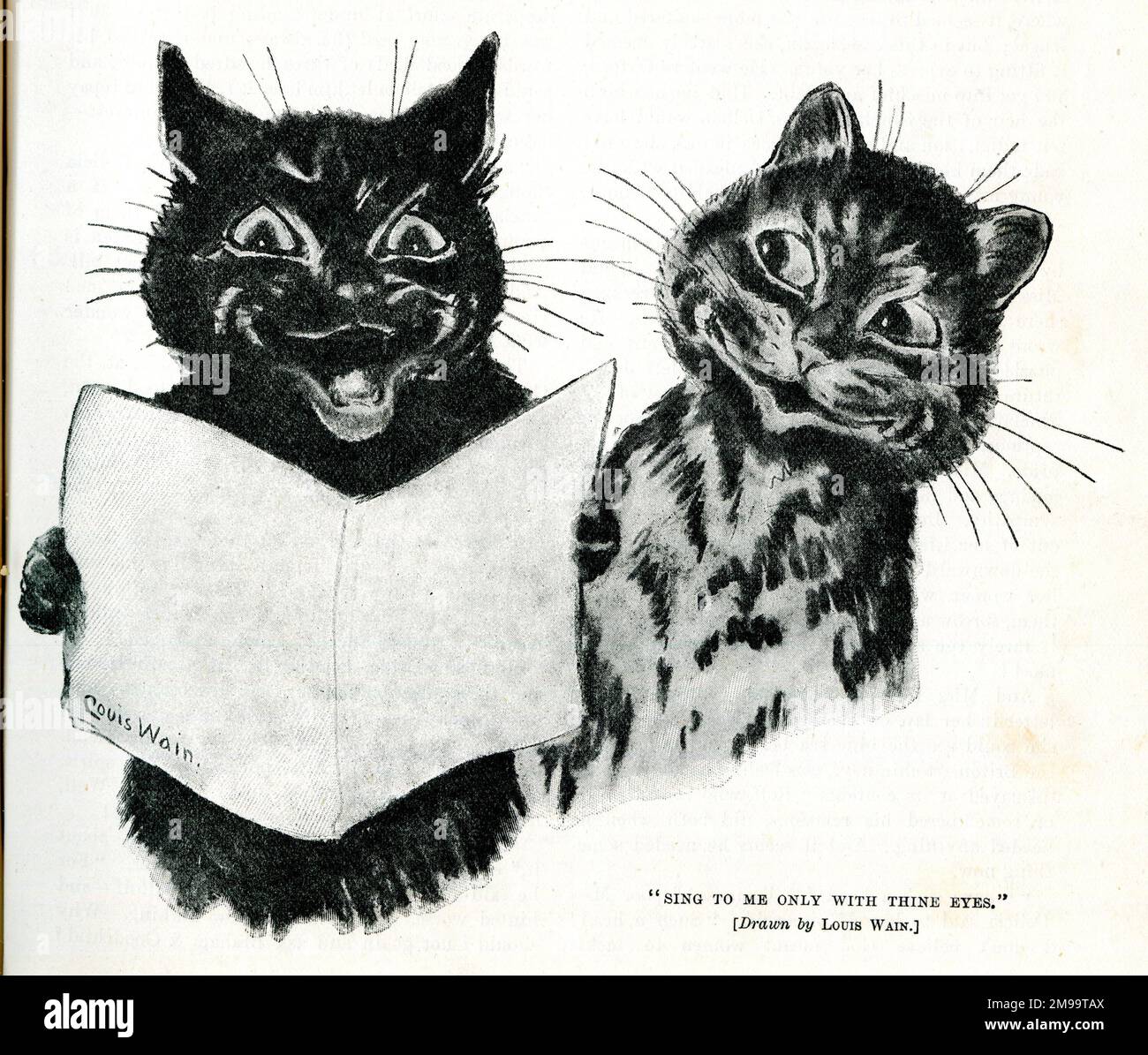 Louis wain cats hi-res stock photography and images - Alamy