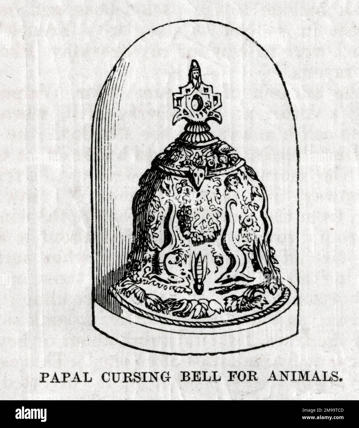 Do not kill animals hi-res stock photography and images - Alamy