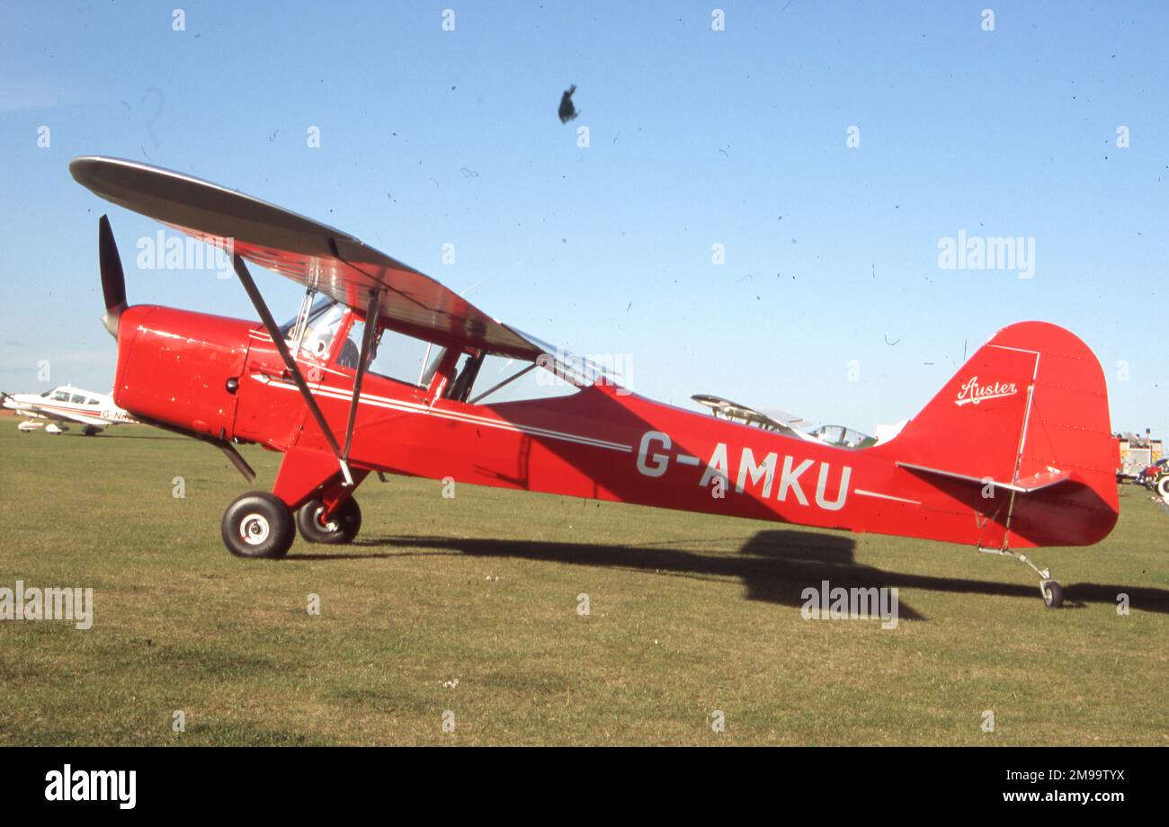 Auster aiglet hi-res stock photography and images - Alamy
