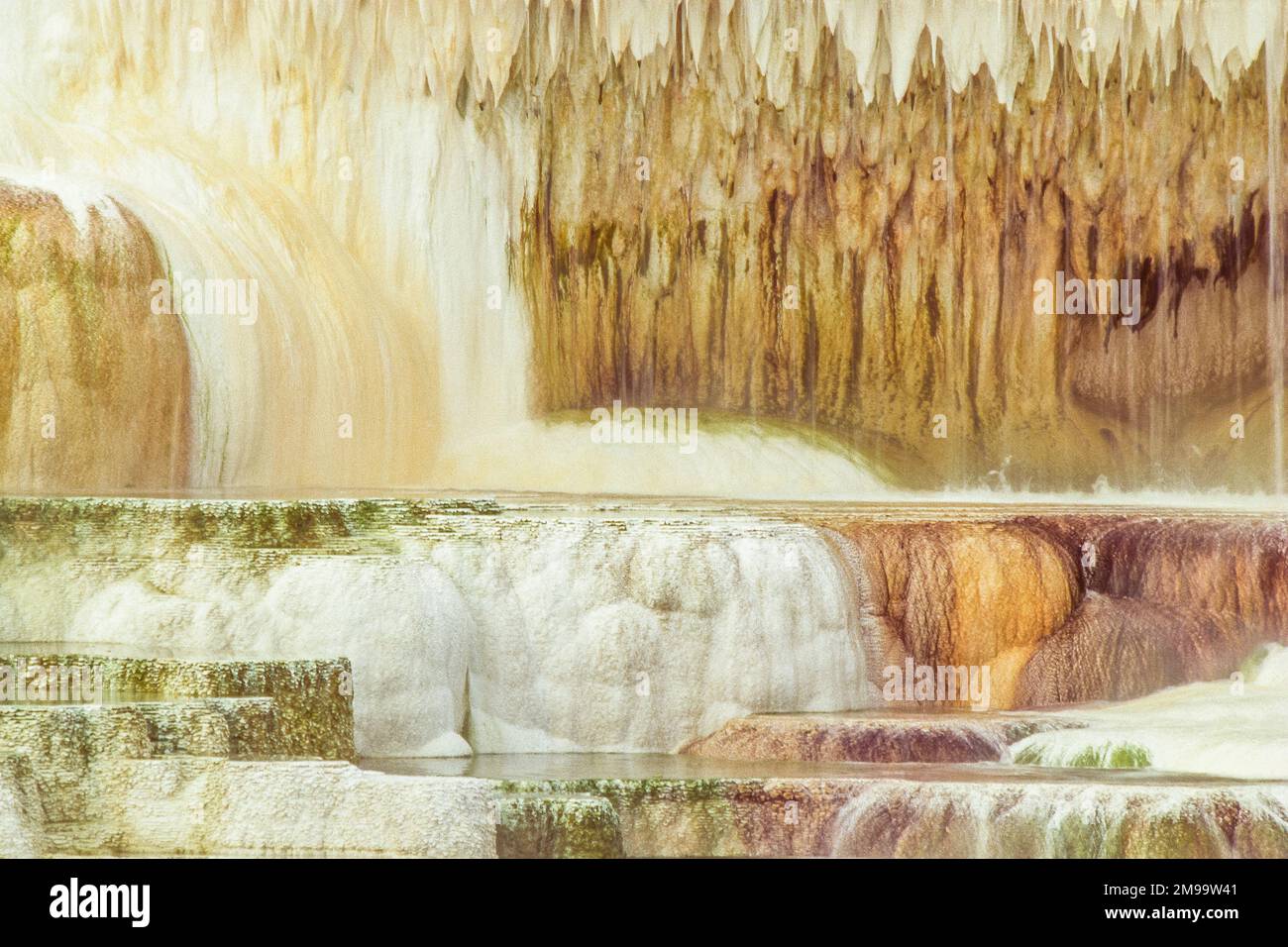travertine terraces at mammoth hot springs in yellowstone national park ...