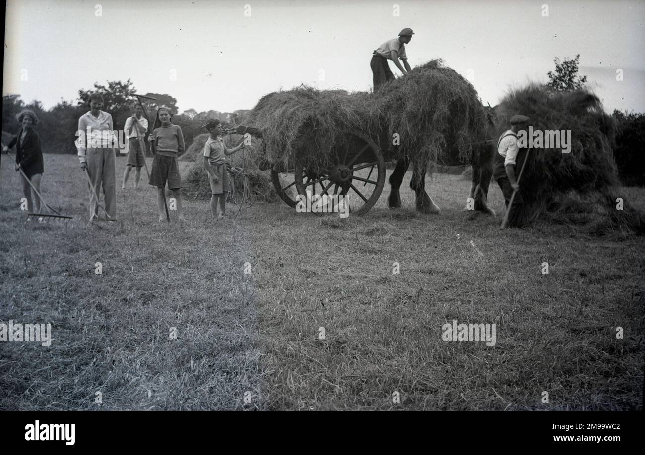 Hay making haymaking hi-res stock photography and images - Alamy