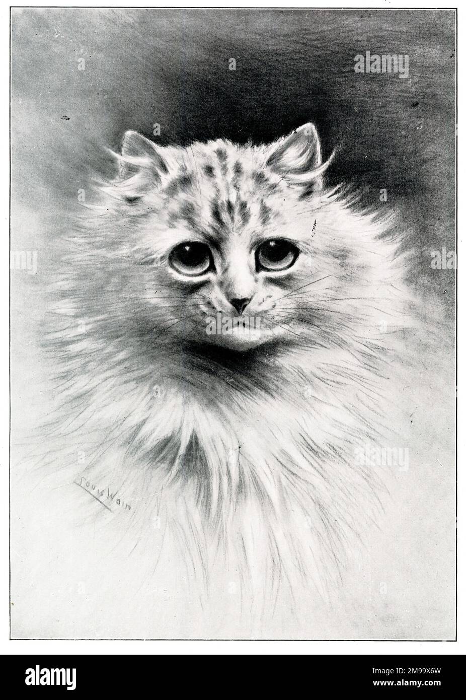 In Maiden Meditation, cat portrait by Louis Wain Stock Photo - Alamy