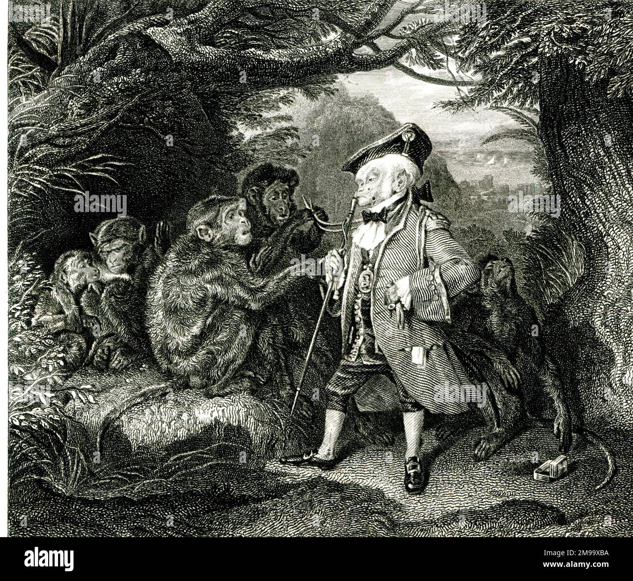 The Travelling Monkey by Edwin Landseer Stock Photo - Alamy