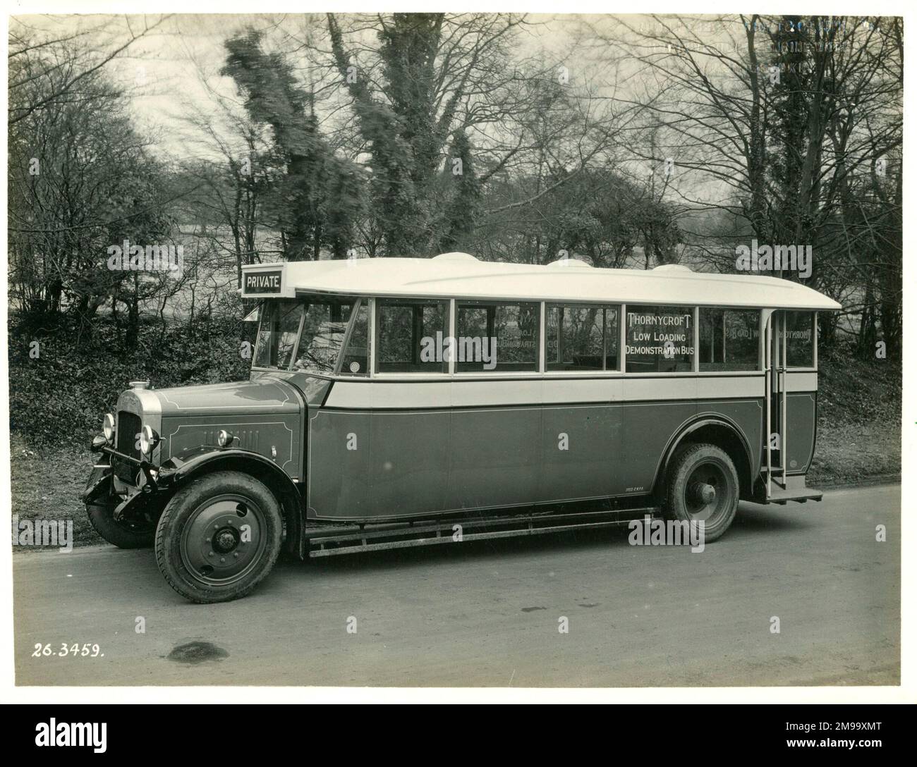 Bus taurus hi-res stock photography and images - Alamy
