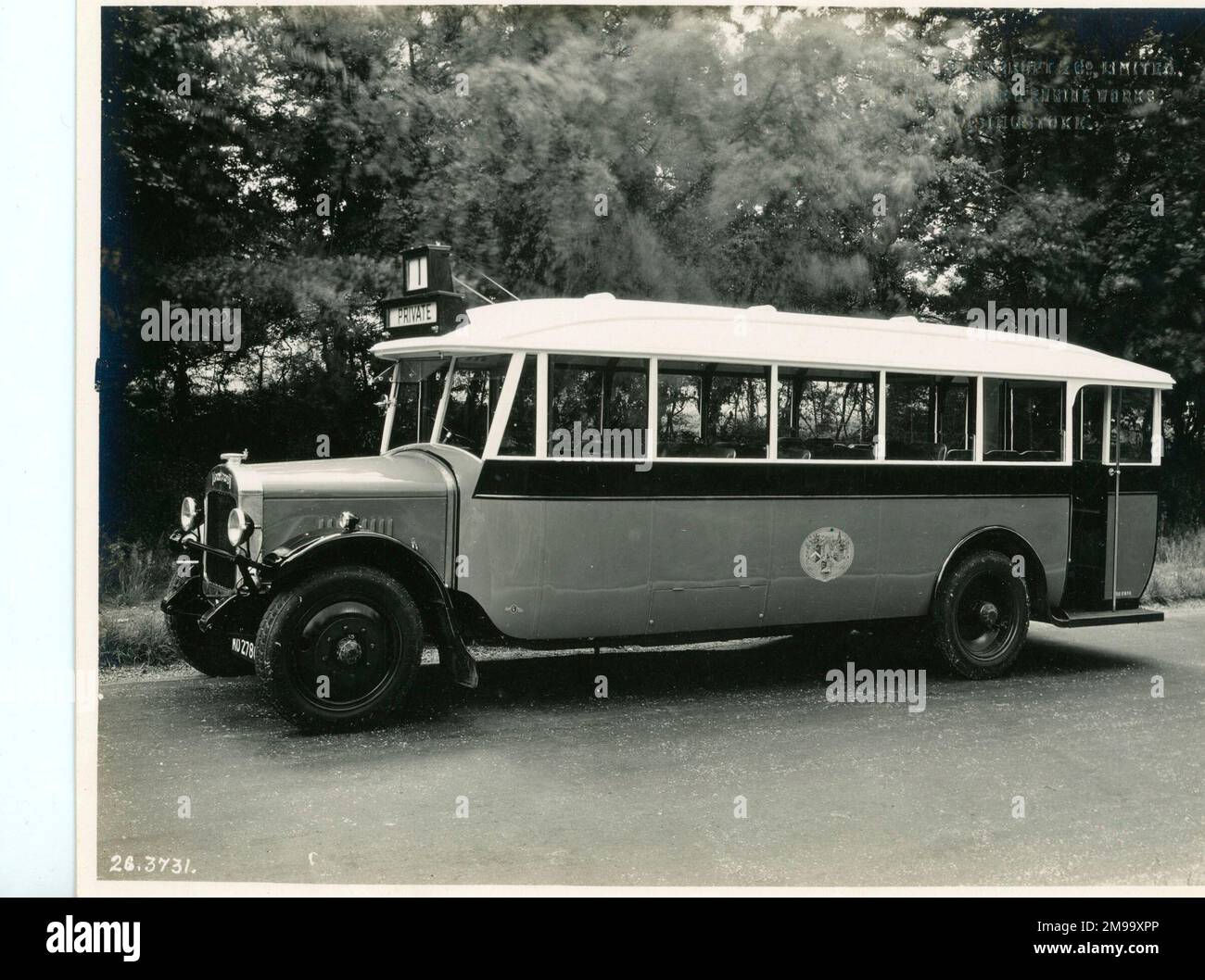 Bus taurus hi-res stock photography and images - Alamy