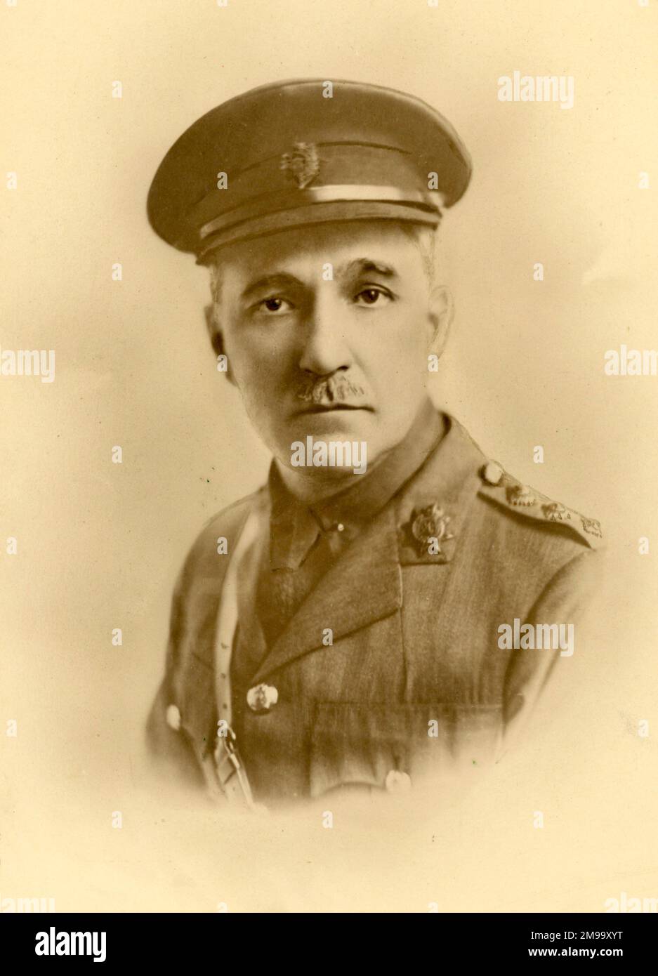 IAE President, 1913-15, James Sidney Critchley Stock Photo - Alamy