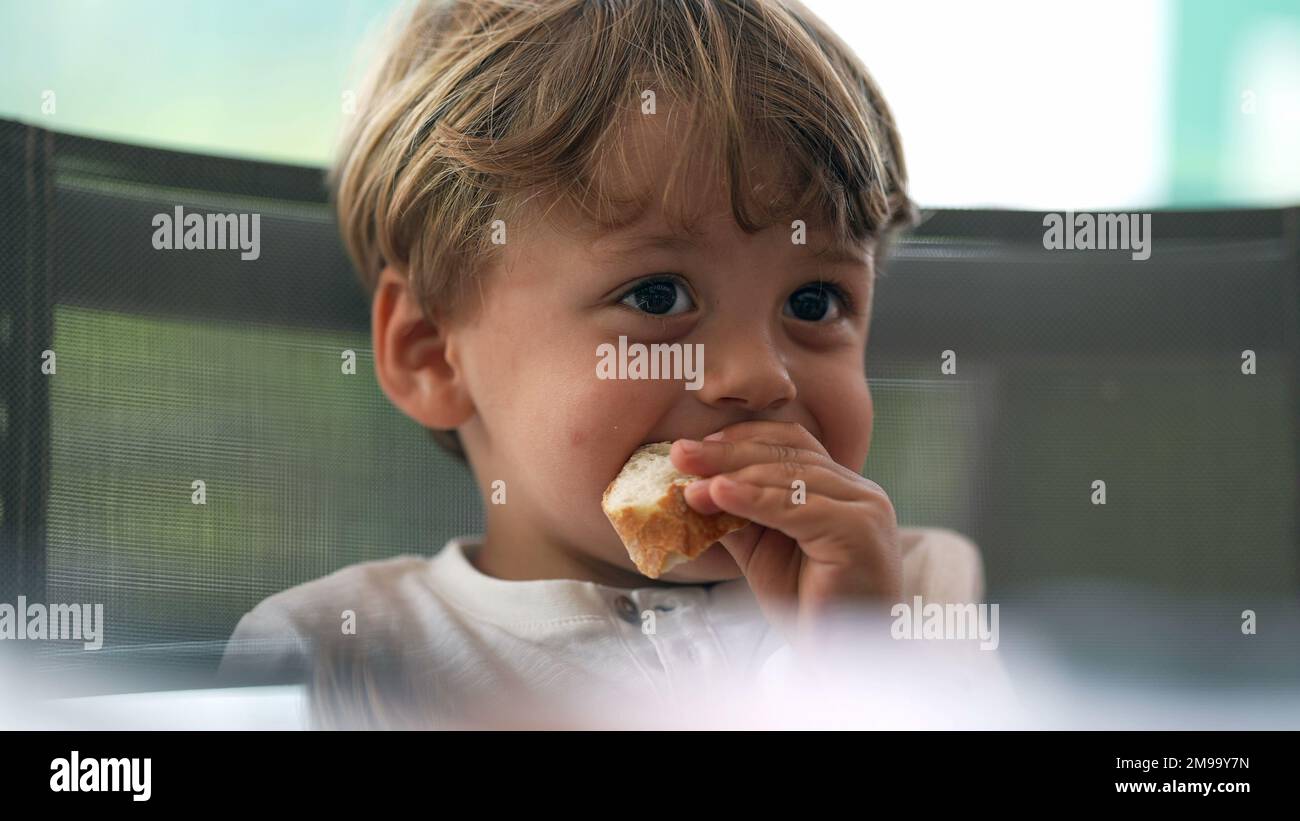 Little toddler eating bread at table. child boy eats carb food Stock ...