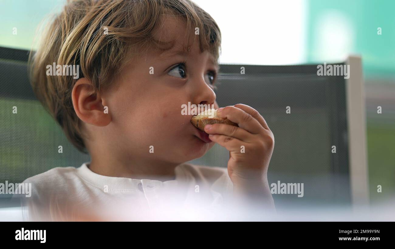 Little toddler eating bread at table. child boy eats carb food Stock ...