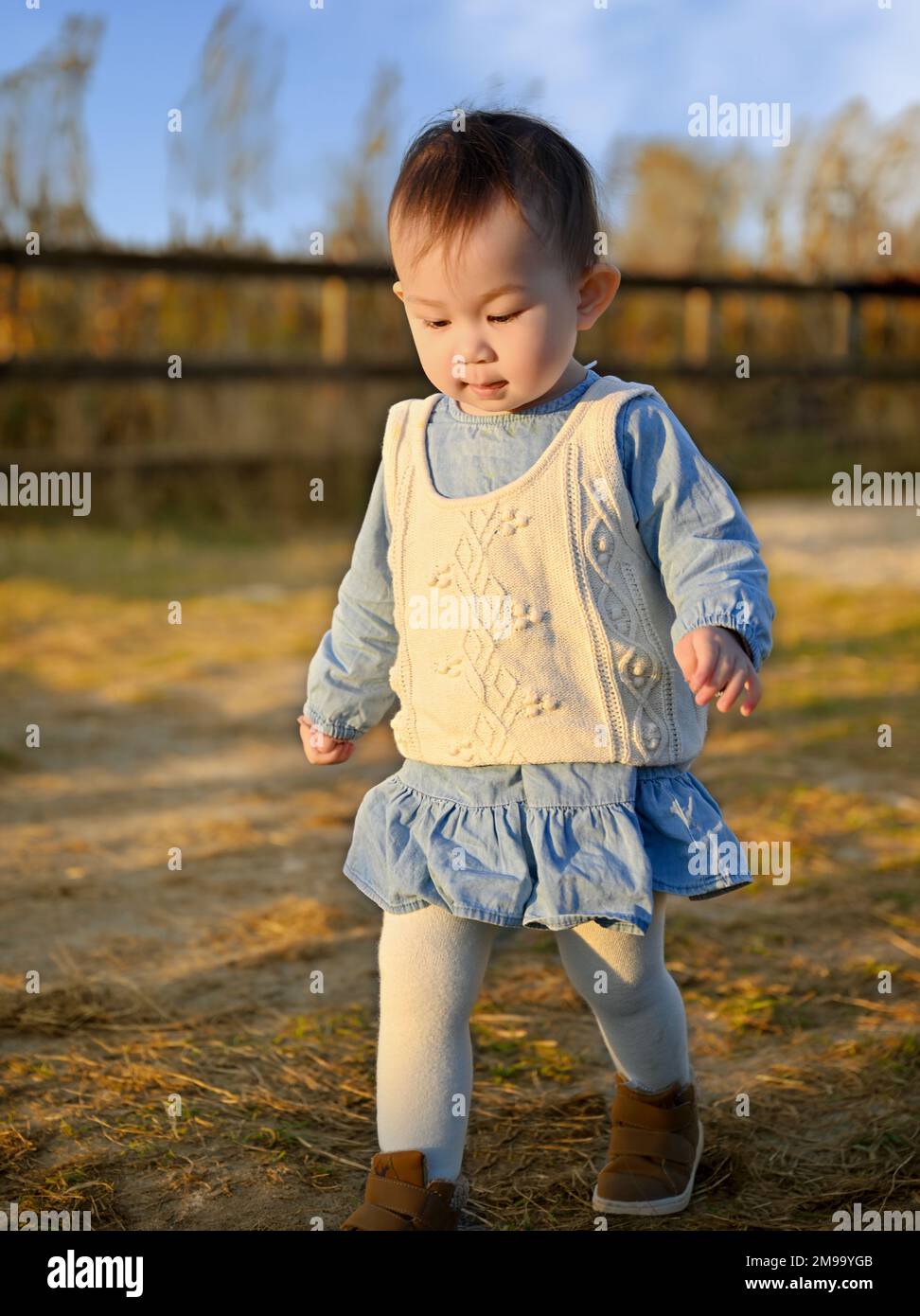 The cute child walking in the park Stock Photo - Alamy