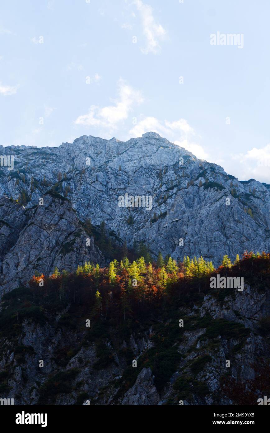 A vertical shot of the Alps mountain range with autumn trees on the ...