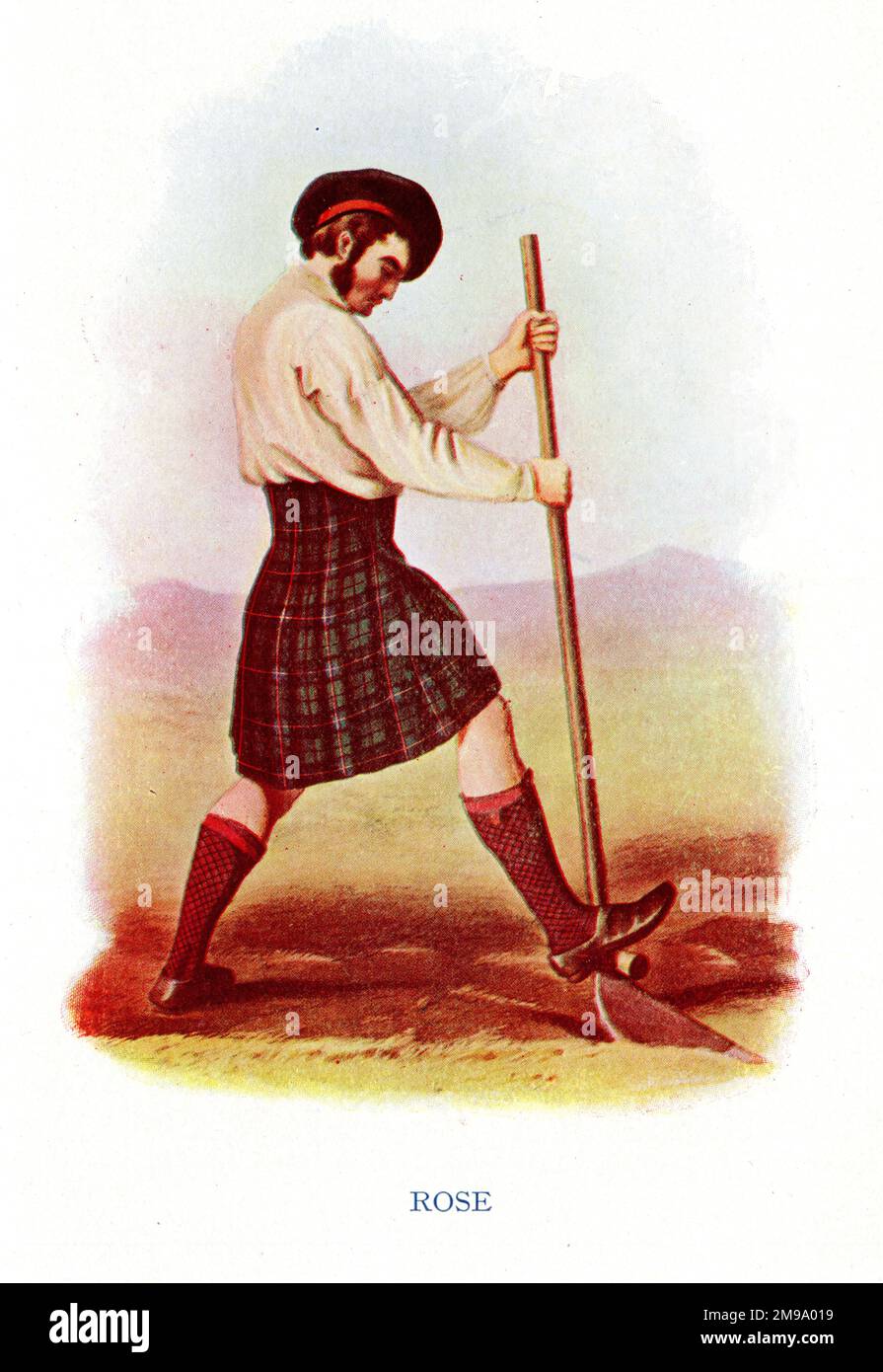 Rose of scotland hi-res stock photography and images - Alamy