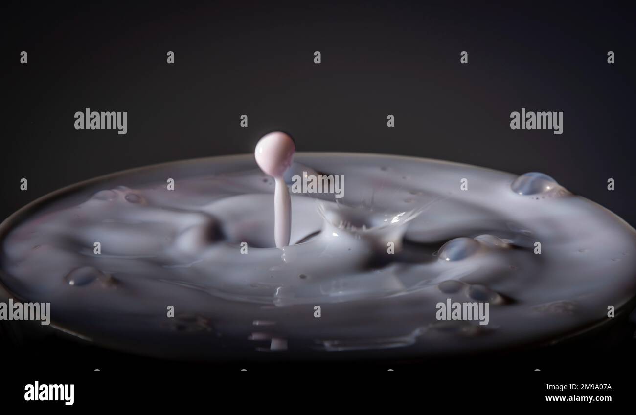 Color fresh sweet milk drops into another color of milk in cup with ...