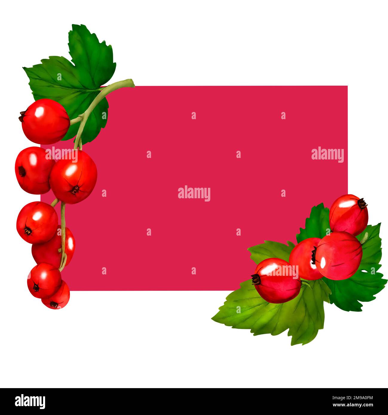 Watercolor frame of red ripe currant berries isolated on white ...