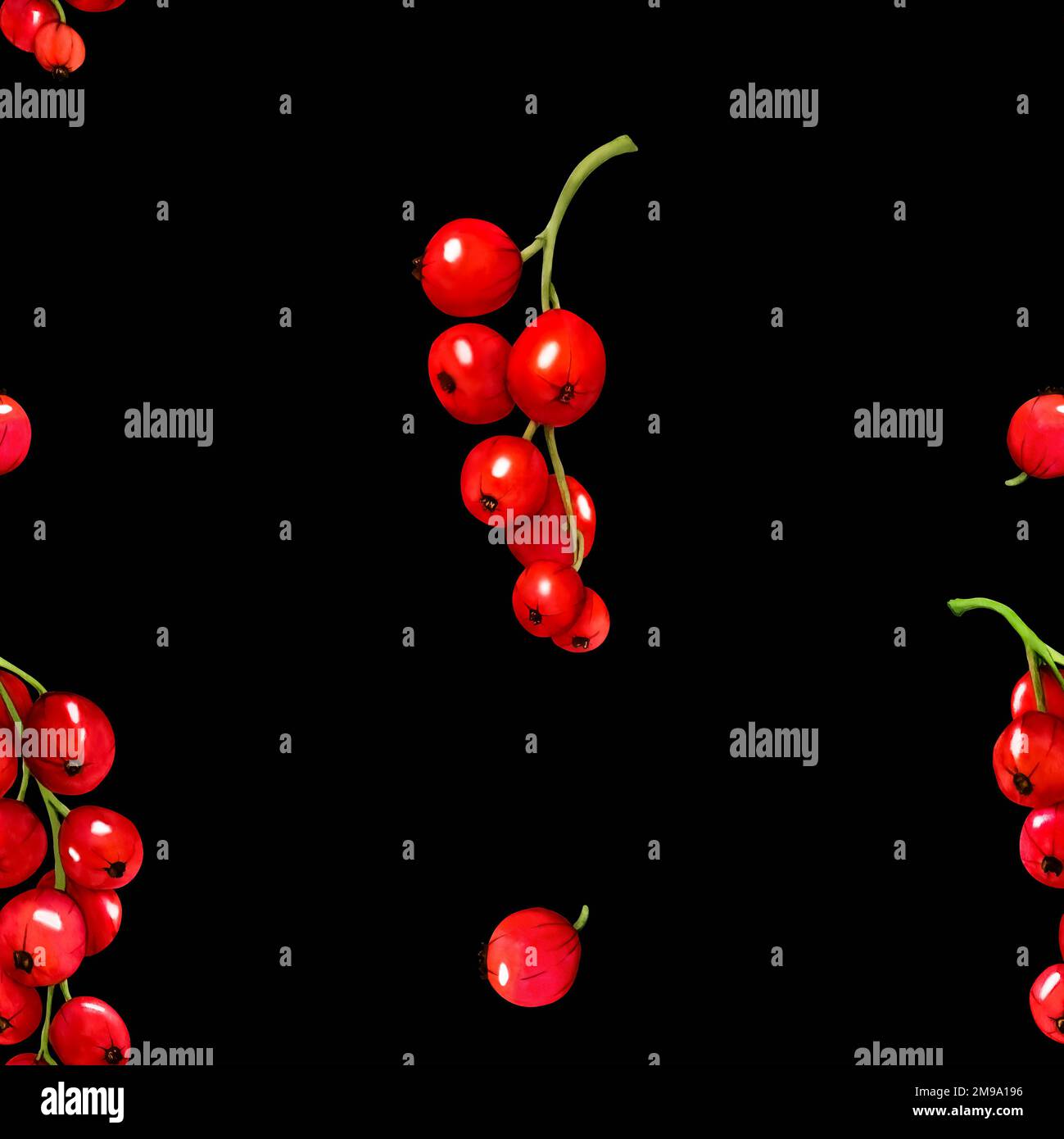 Pattern. Watercolor red ripe currant berries isolated on black ...
