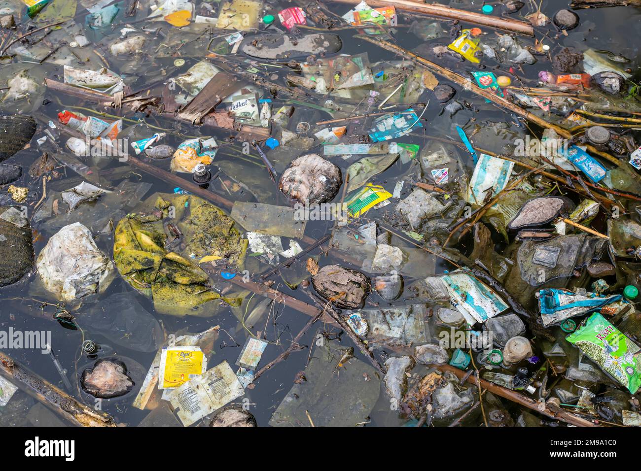 Photograph of polluted River full of rubbish showing environment we ...